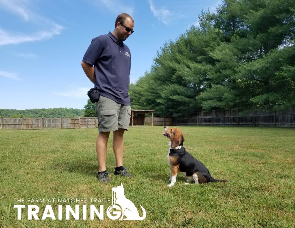 Woof Training Program - The Farm at Natchez TraceThe Farm at Natchez Trace