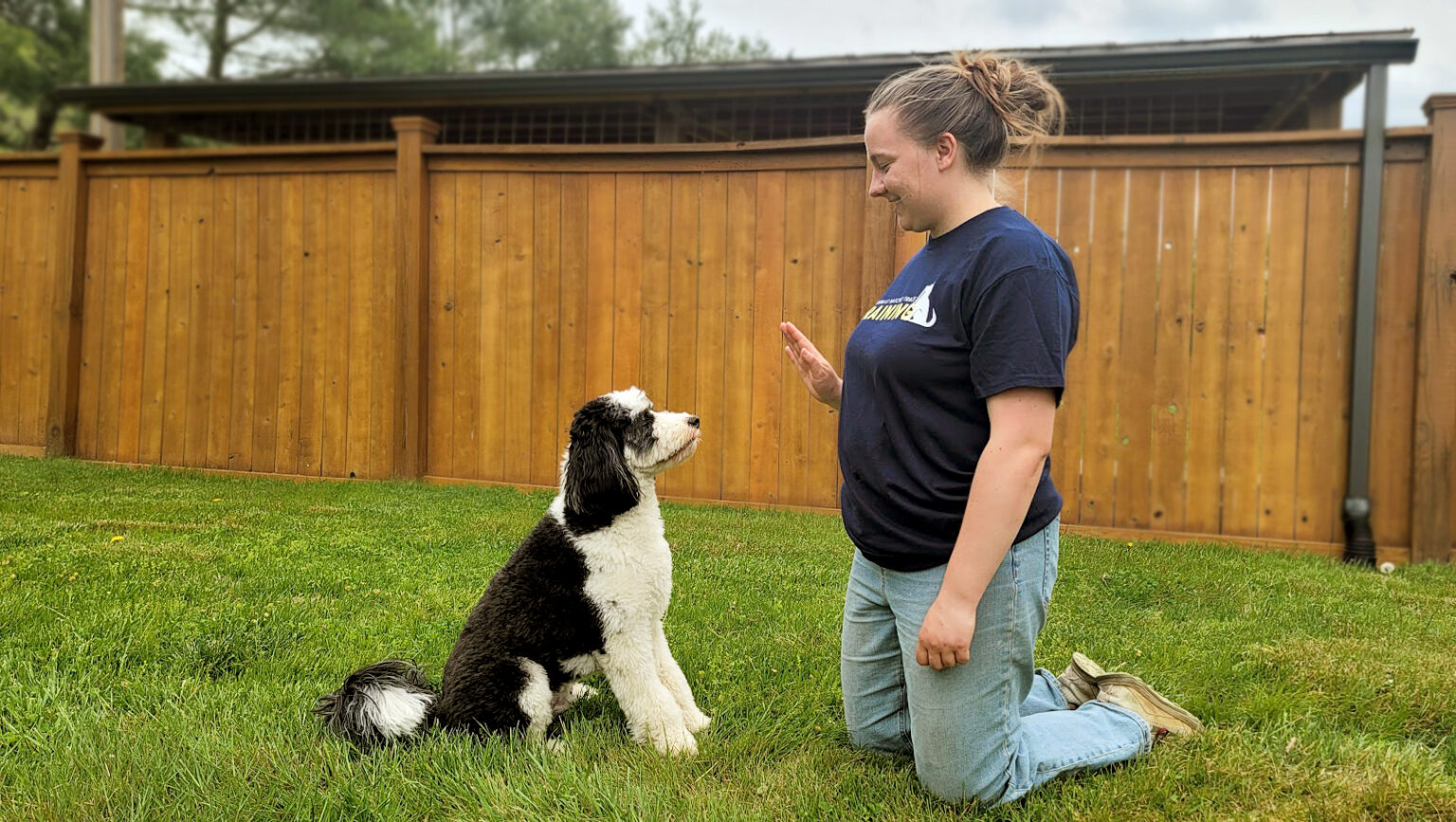 Woof Training Program - The Farm at Natchez TraceThe Farm at Natchez Trace